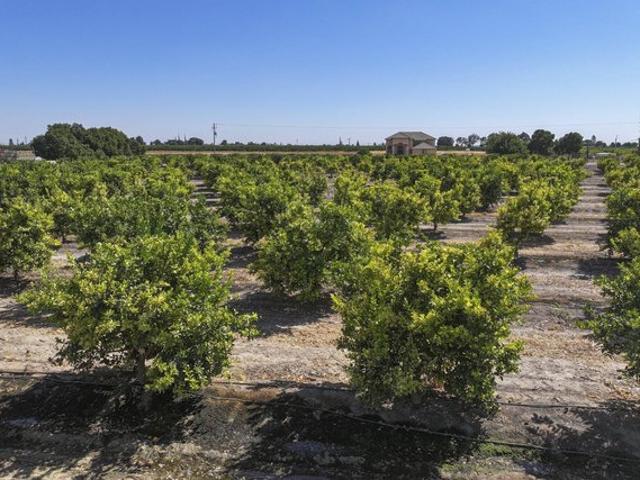 Ave # 424, Dinuba, CA 93618