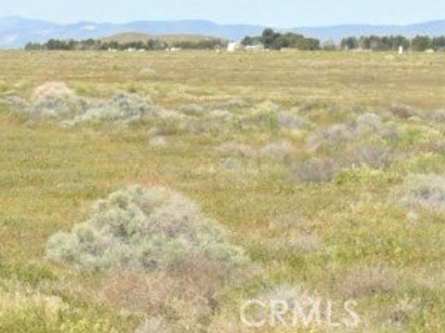 Ave, Antelope Acres, CA 93536