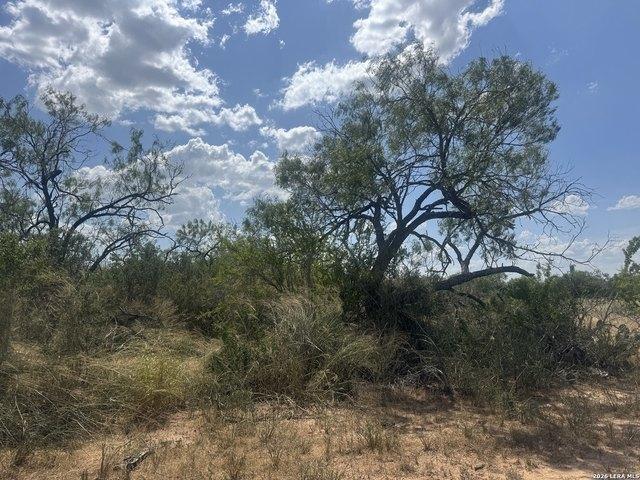 Ave O Lot Mult, Christine, TX 78012