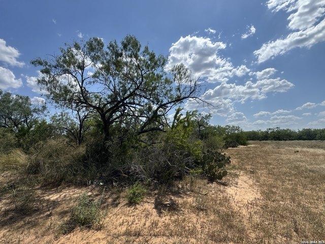 Ave O Lot Mult, Christine, TX 78012