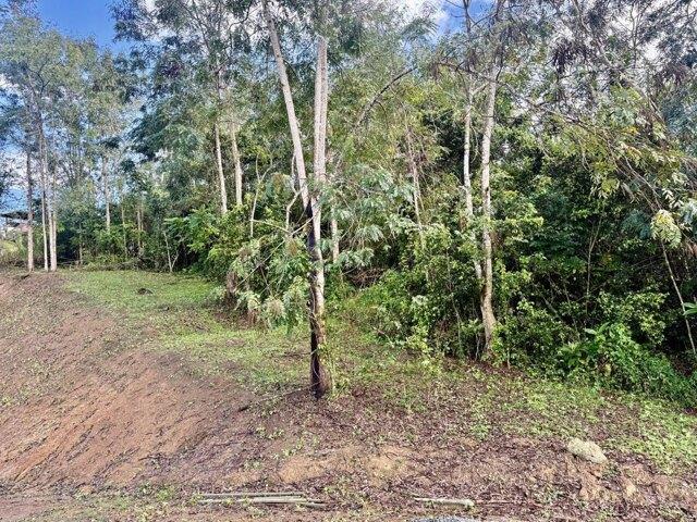 Ave Praderas Pl, Cayey, Plot For Sale