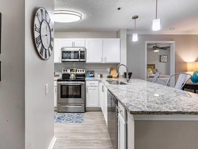 Aven Chastain 2 Bedroom Apartment for Rent at 240 E Belle Isle Rd, Atlanta, GA 30342