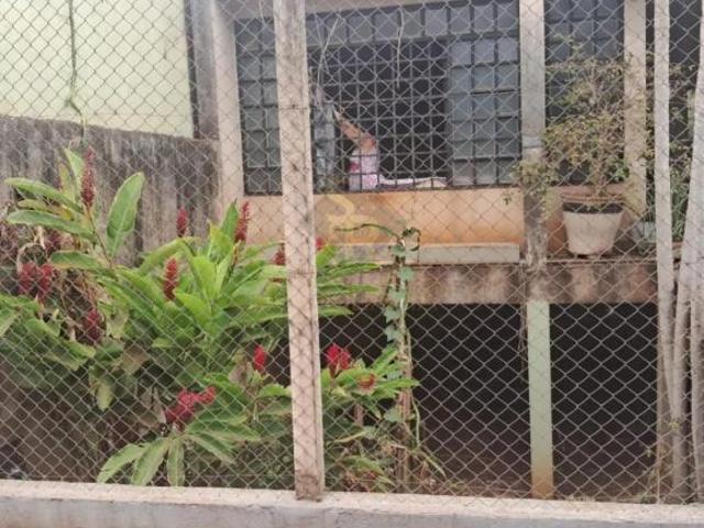 Avenida Patriarca Parque Ribeirão Preto, Ribeirão Preto SP