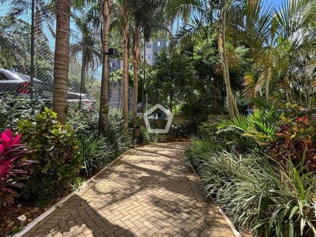 Avenida Raimundo Pereira de Magalhães, 2199 Jardim Iris