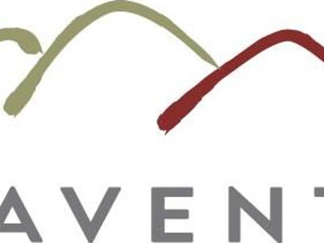 Aventine Asheville 3 Bedroom Apartment for Rent at 1000 Aventine Dr, Arden, NC 28704