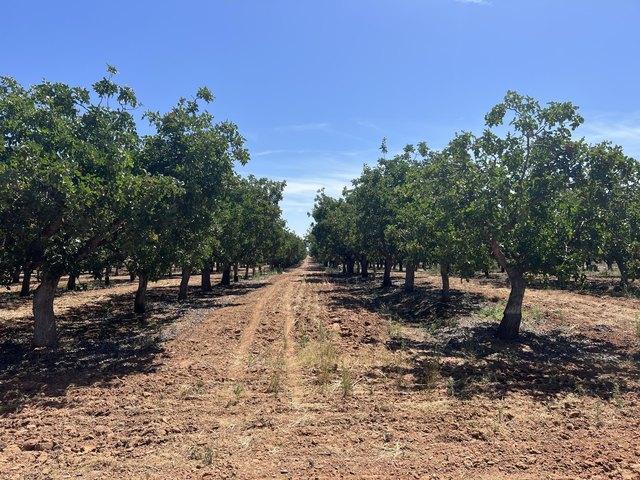 Avenue # 201/2, Madera, CA 93638