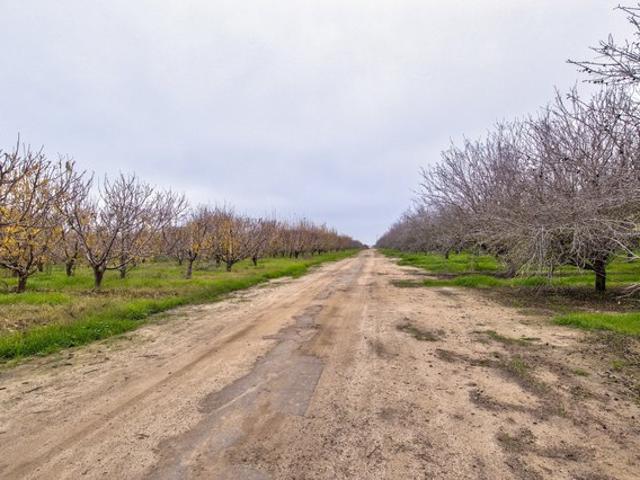 Avenue 48 # 168 and Road, Earlimart, CA 93219