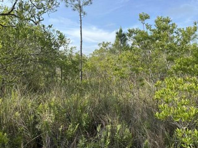 Avenue, Cocoa, FL 32926
