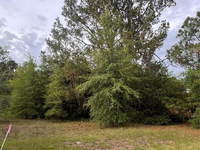 Avenue G Mc Intosh, Micanopy, FL 32667 | MLS #GC539197 | Compass