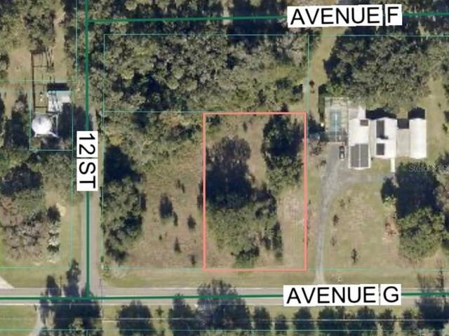 Avenue G, McIntosh, FL 32664