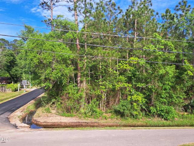 Avenue D, Bay Saint Louis, MS 39520