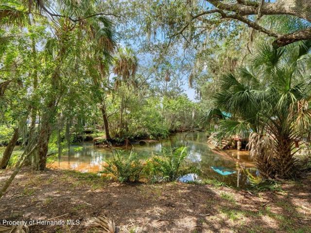 Avenue of the Palms, Weeki Wachee, FL 34607