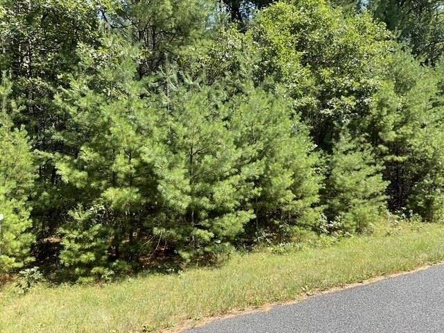 Avenue Parcel 18TH, Arkdale, WI 54613