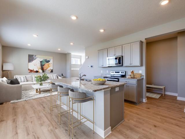 Avery Park 3 Bedroom Apartment for Rent at 9713 95th Pl N, Maple Grove, MN 55369 Brooklyn Park Maple Grove