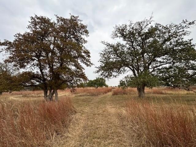 Axis Cir Lot 129, Fredericksburg, TX 78624