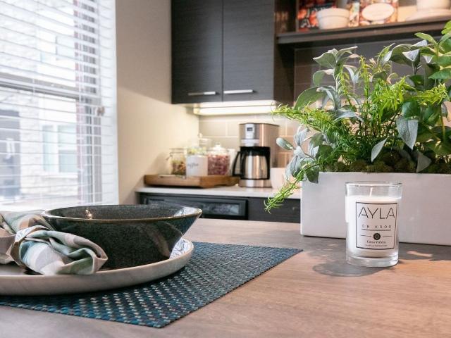 Ayla Studio Apartment for Rent at 44 Krog St Ne, Atlanta, GA 30307 Inman Park