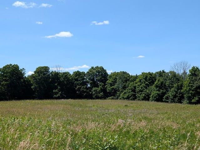 Ayres Rd, Gillett, PA 16925