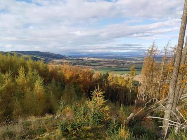Ayton Woodlands, Aberargie, Land For Sale