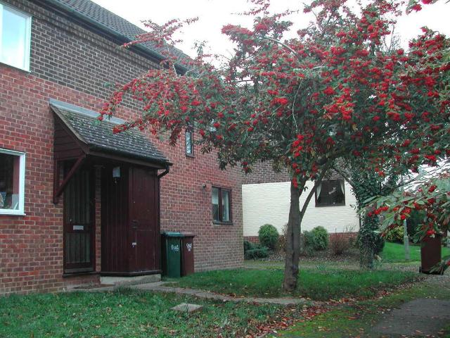 Azalea Walk, Banbury OX16, 2 bed end terrace house to rent, £1,100 pcm | PrimeLocation