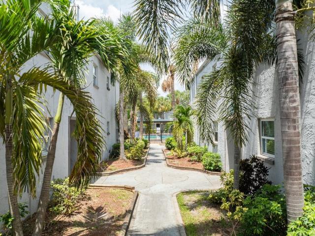 Azure East 1 Bedroom Apartment for Rent at 1426 Marathon Key Dr, Tampa, FL 33612