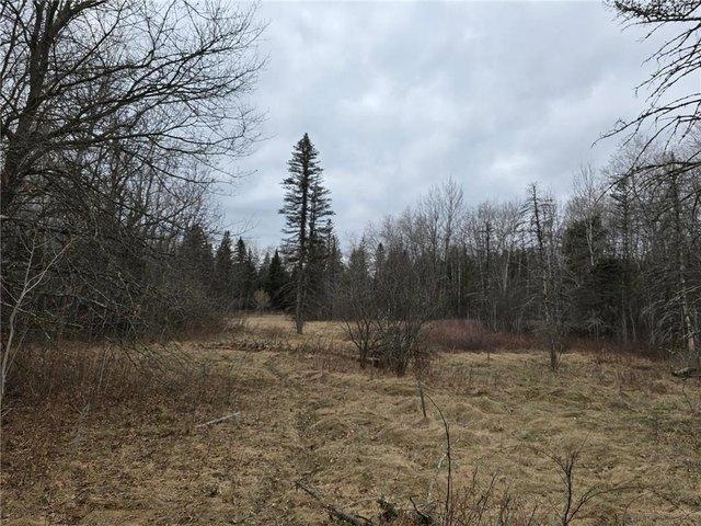 B3 288th Ave NW L4, Zimmerman, MN 55398
