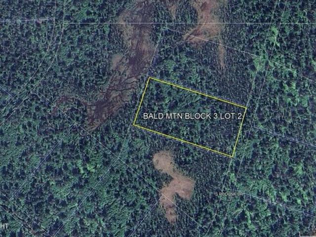B3 No Rd L2, Talkeetna, AK 99676