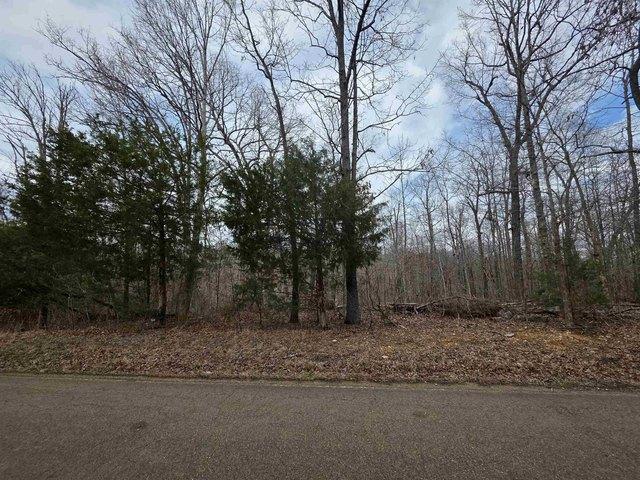 B3 S Summit Ridge Dr L16, Ozark Acres, AR 72482