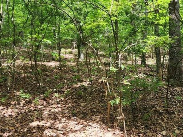 B010 Lakeview Trl, Holladay, TN 38341