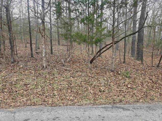 B12 Spring Water Dr L3, Cherokee Village, AR 72529