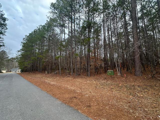 B14 L18 Candlewick Loop