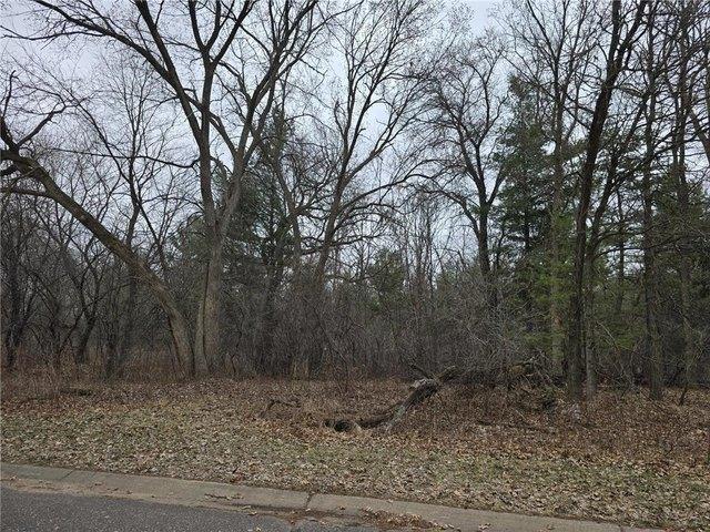 B1 131st St NW L2, Zimmerman, MN 55398