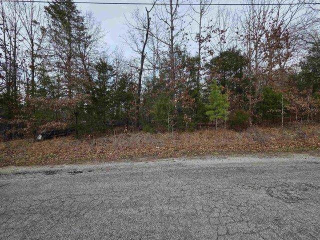 B1 Arkinda Dr L28, Cherokee Village, AR 72529