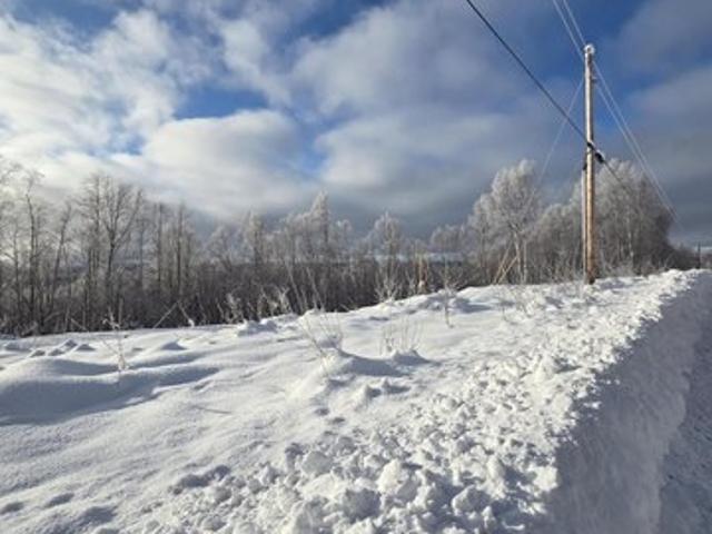 B1 L8a E Mt Russell Dr, Talkeetna, AK 99676