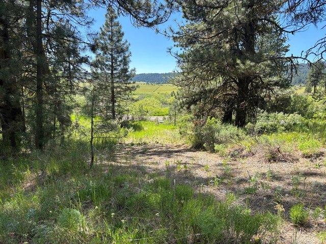 B1 Lantern Way L16, Cascade, ID 83611
