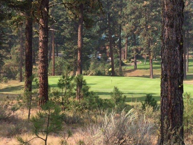 B24 Sarazen Ct L15, New Meadows, ID 83654