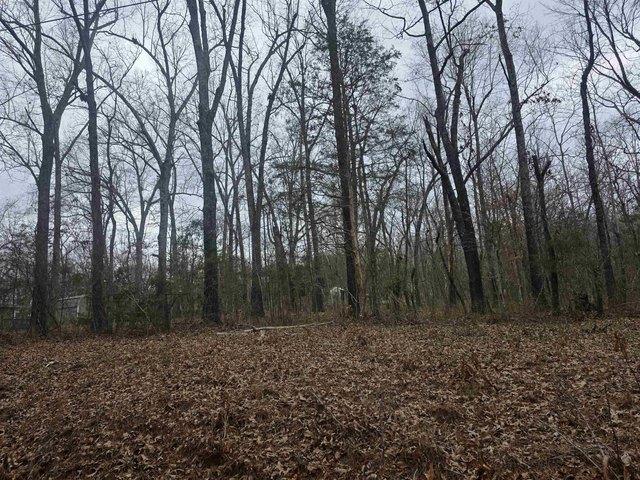 B2 Cherokee Rd L33, Cherokee Village, AR 72529