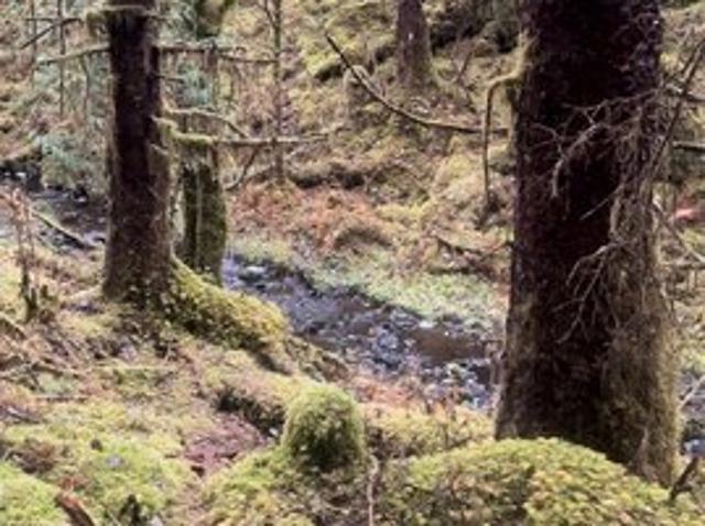 B2 Coffman Loop L7, Coffman Cove, AK 99918