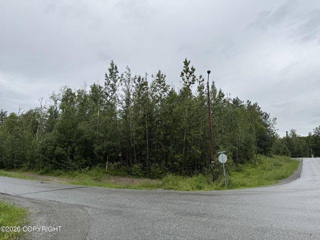 B2 E Aspen Ridge Rd L3, Wasilla, AK 99654