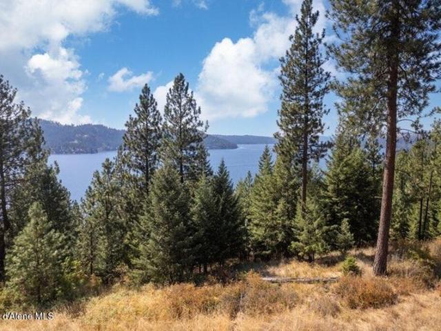 B2 Empty Nest Ln L11, Harrison, ID 83833