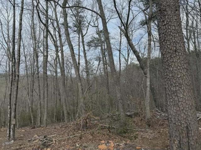 B2 Mountain Ridge, Blue Ridge, GA 30513 | MLS #429267