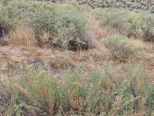 B2 Road 1420 L12, La Plata, NM 87418