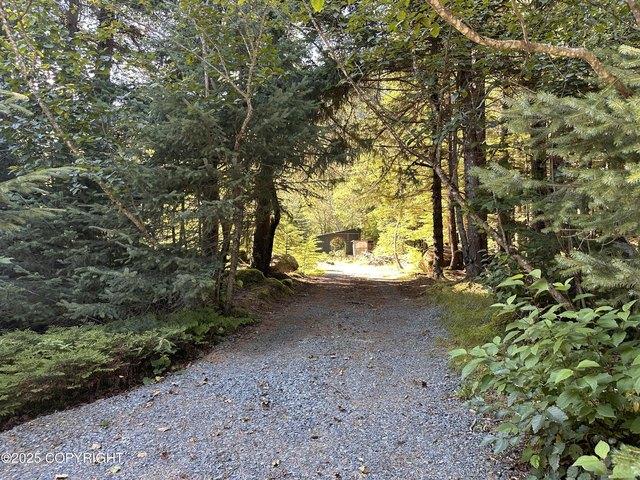 B7 Young Rd L2, Haines, AK 99827