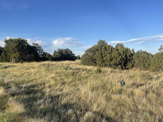 B7 Orlando Way L10, Walsenburg, CO 81089