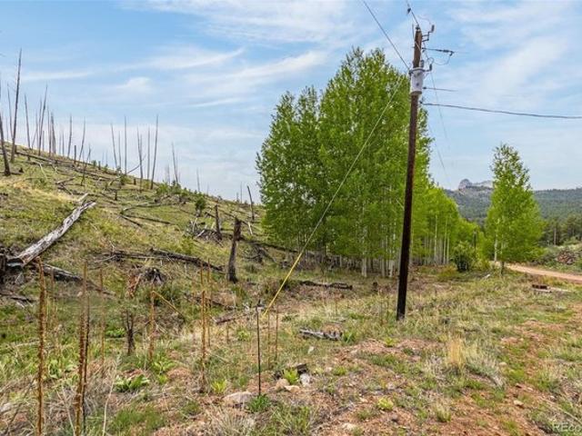 B4 Columbine Cir L1, Woodland Park, CO 80863