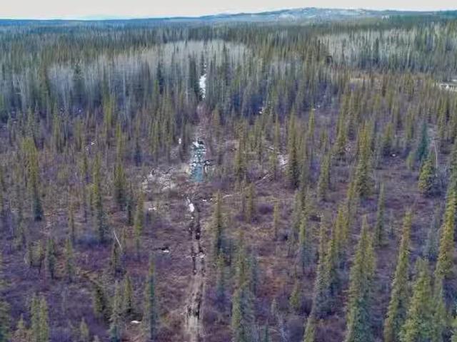 b4 L4 JUDE NO ROAD ROAD, GLENNALLEN, AK 99588 Vacant Land Fo.