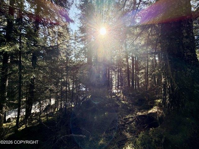 B4 Rosenburg Ln L7, Seldovia, AK 99663