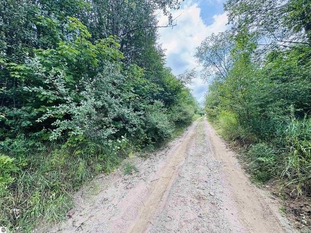 B5 Bosscher Rd Parcel B4, Manton, MI 49663