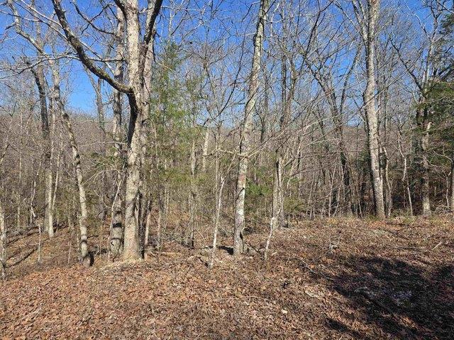 B9 Pahokee Dr L41, Cherokee Village, AR 72529