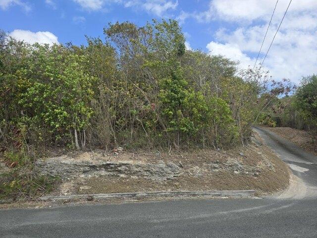 b Marys Fancy Qu, Saint Croix, Plot For Sale