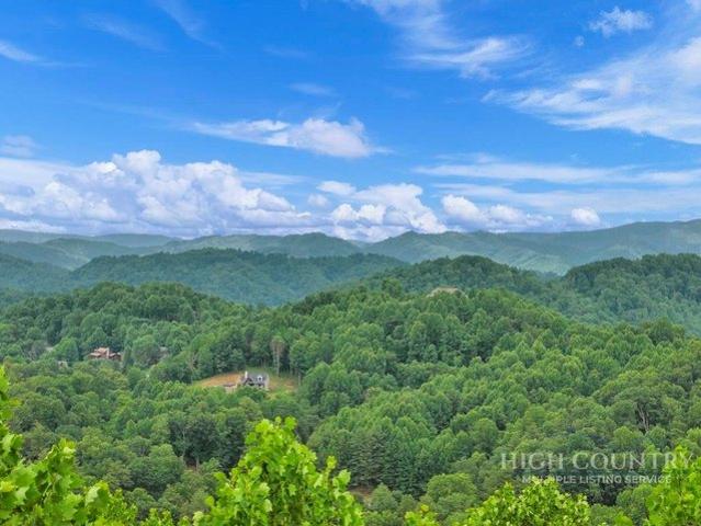 B and C Lost Branch Trl, Vilas, NC 28692